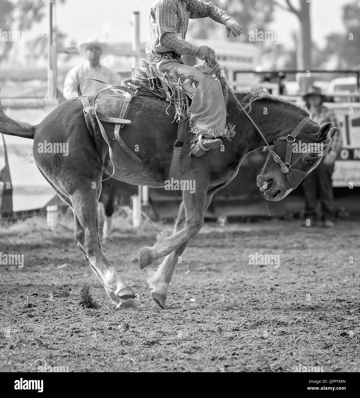 Cowboy riding a bucking bronc at a country rodeo Australia Stock Photo ...