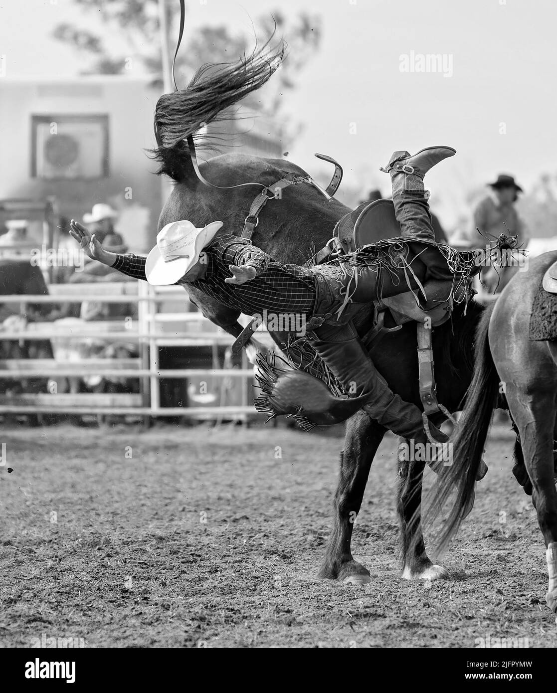 Rodeo cowboy falling off horse Black and White Stock Photos & Images ...
