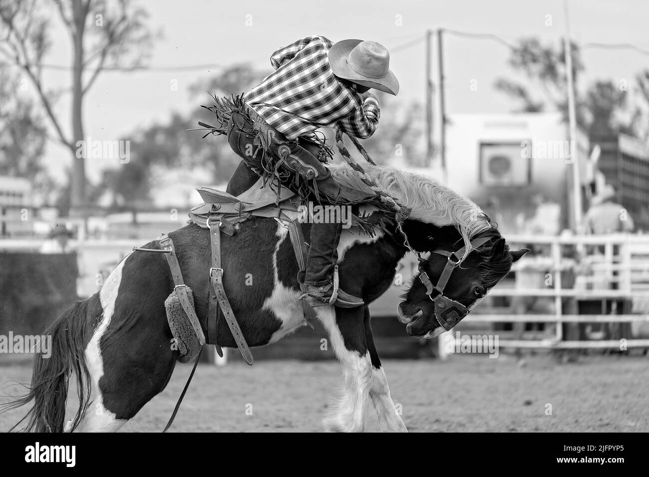 Cowboy riding a bucking bronc at a country rodeo Australia Stock Photo ...