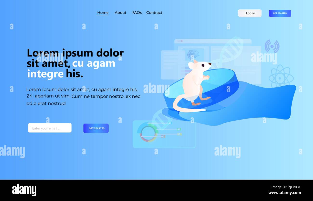 Lab rat animal testing hi-res stock photography and images - Alamy