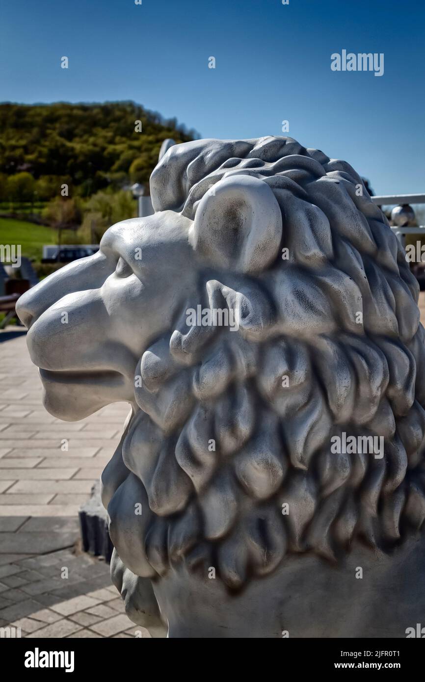 Lion profile vertical hi-res stock photography and images - Alamy