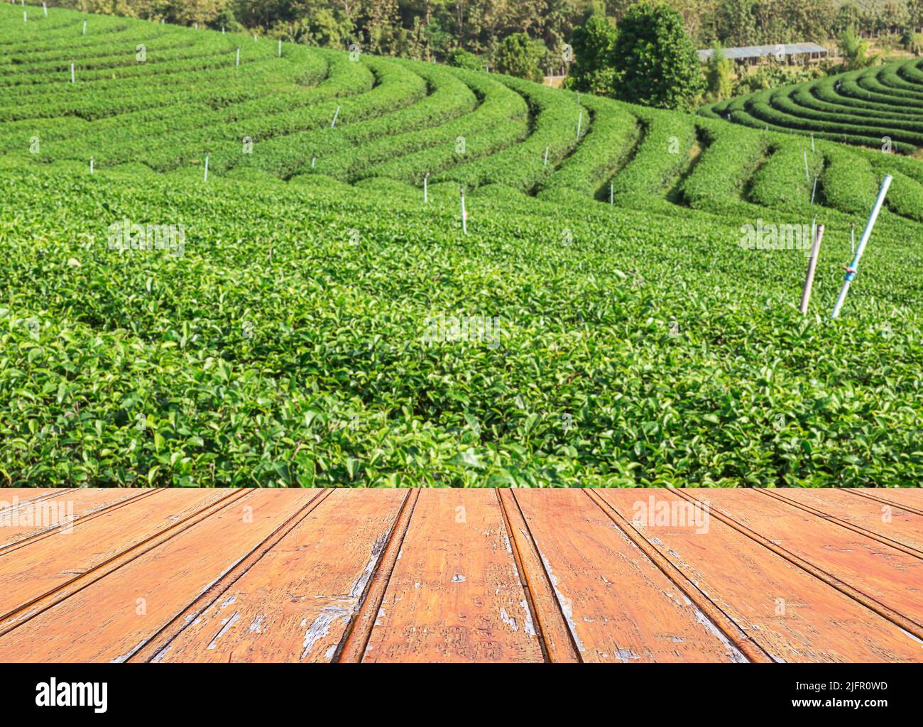 Wood terrace with blur tea plantation background and copy space Stock ...