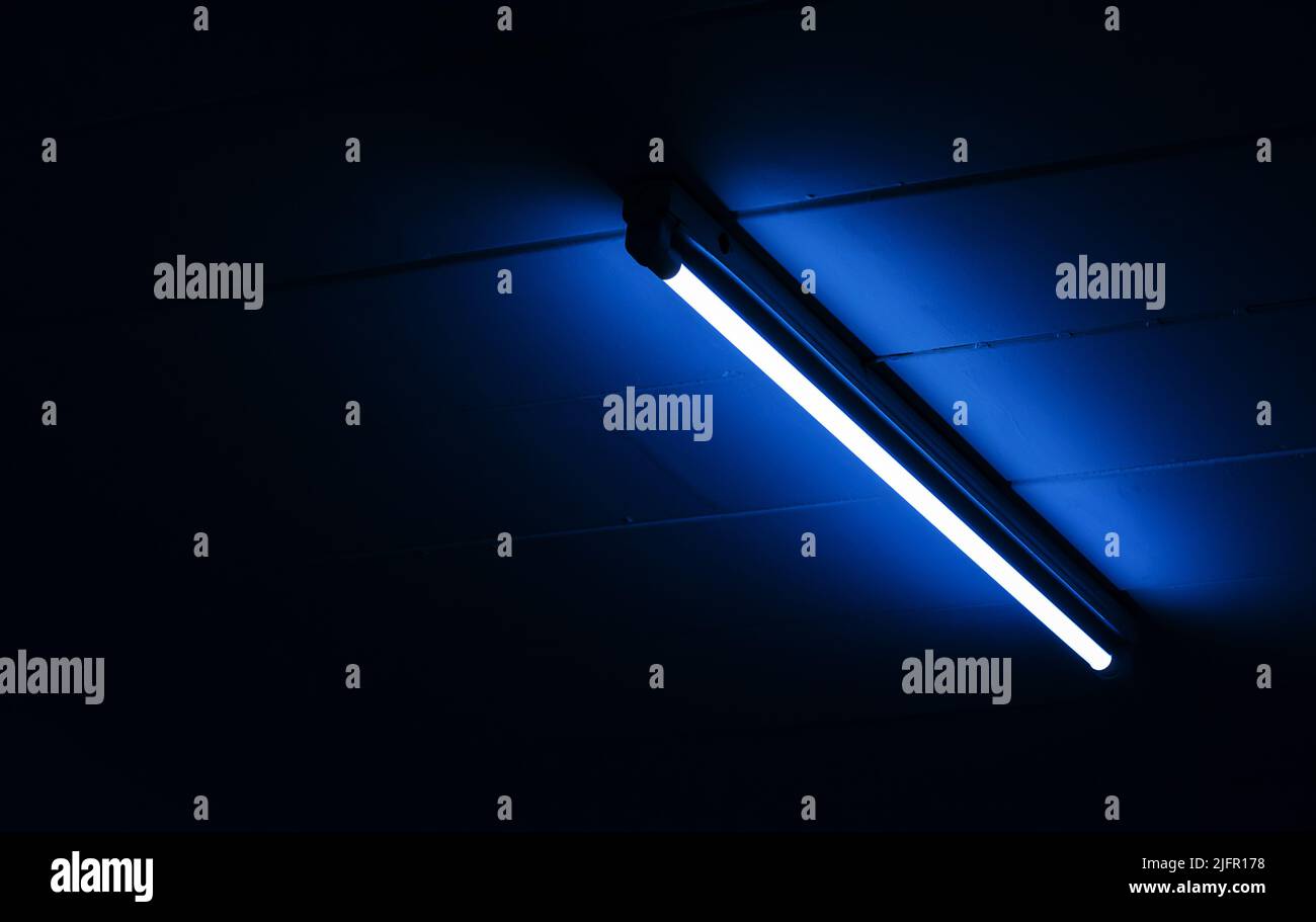 Detail of a fluorescent light tube mounted on a wall with copy space ...
