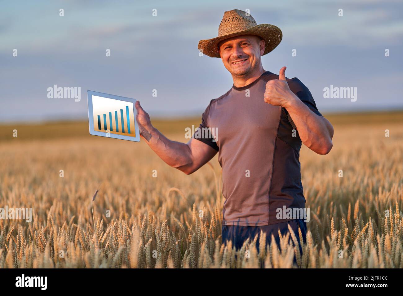 Farmer with a tablet checking the state of his wheat culture Stock ...