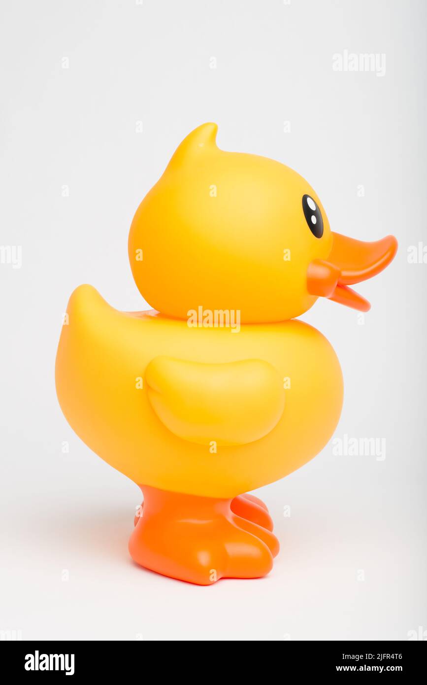 Rubber makes the world go round. Shot of a rubber duck against a studio ...