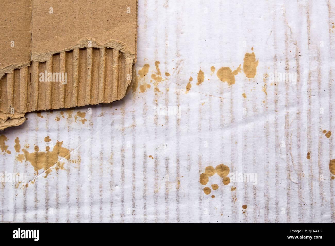 Hi res background from paper texture. Perfect background with space for ...