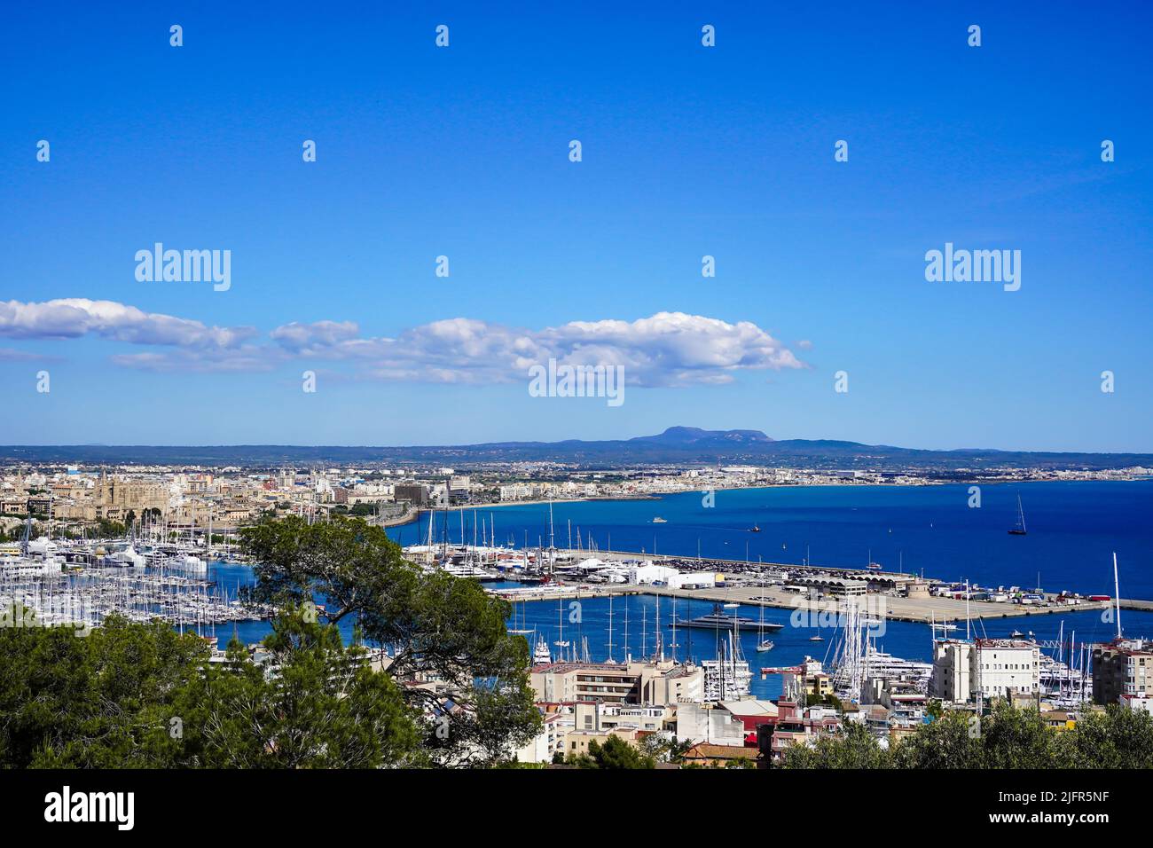 Mallorca cathedral port hi-res stock photography and images - Alamy