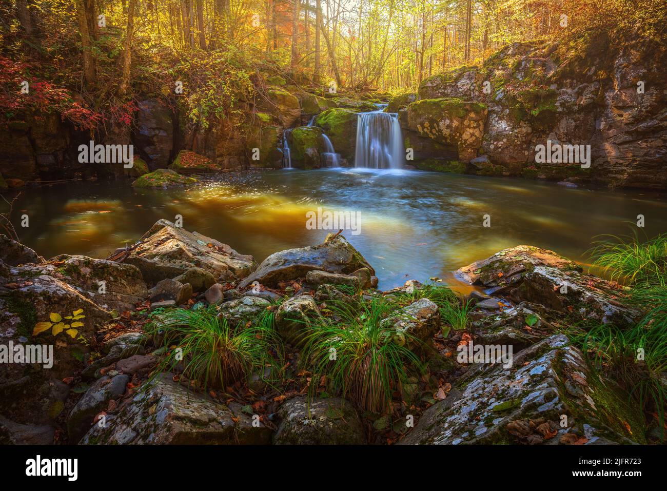 Autumn mountain waterfall. Forest in october Stock Photo - Alamy