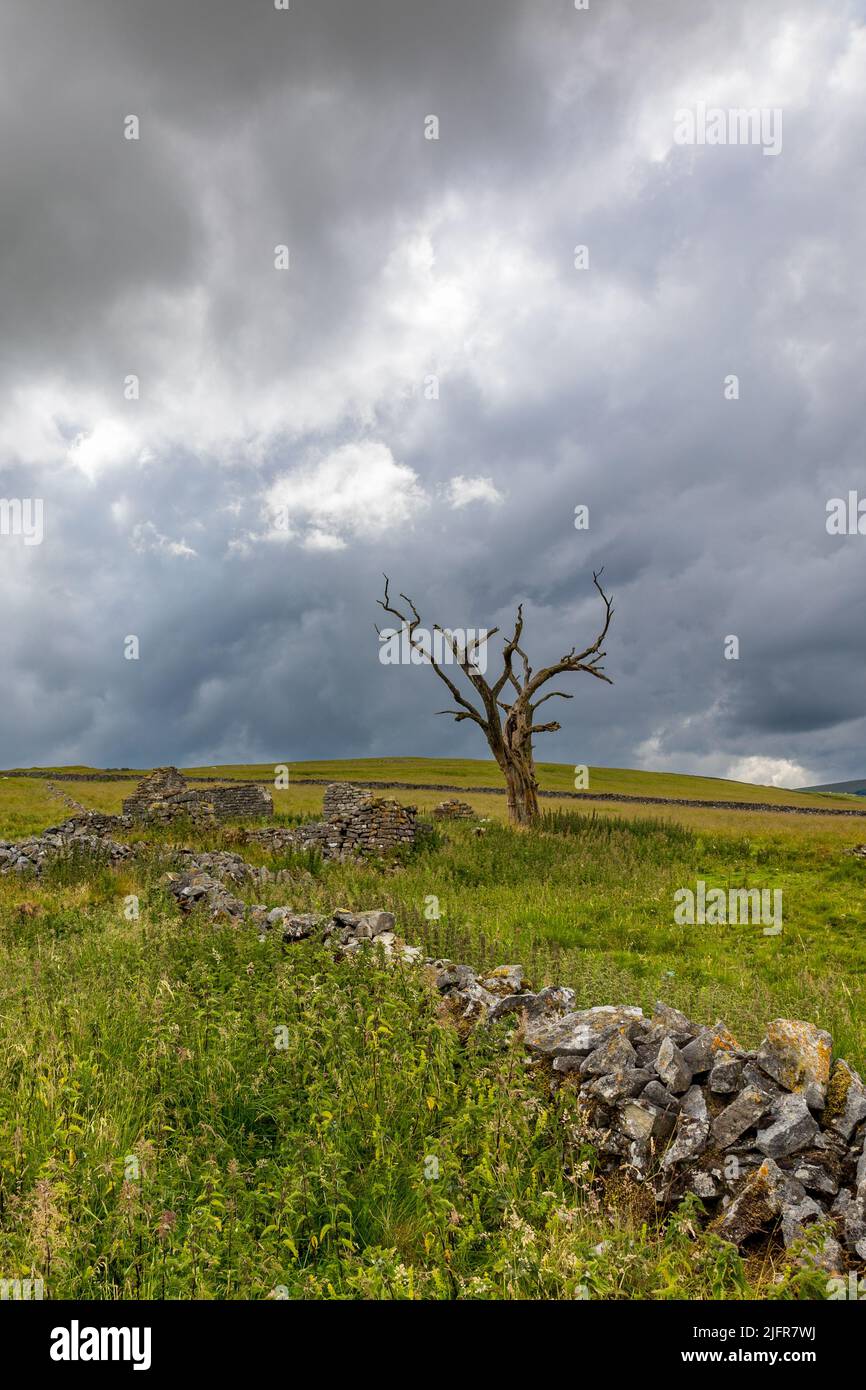 Cow Low barn is a ruined barn in the Peak District.Set above Winnats ...