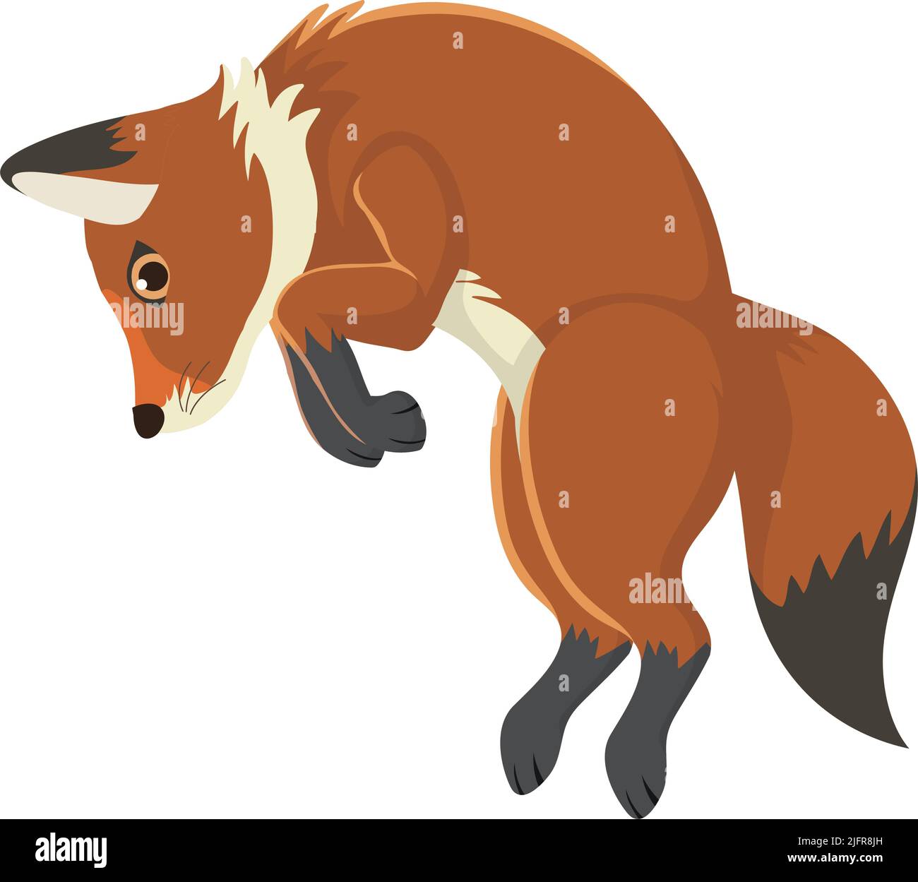 Fox jumping illustration hi-res stock photography and images - Alamy