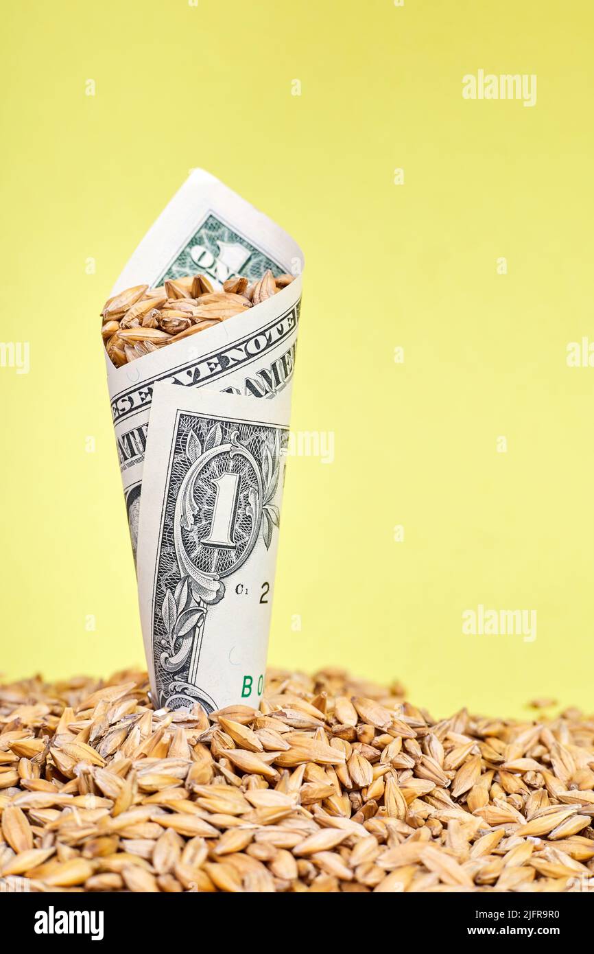 A rolled up dollar bill with barley grains sprinkled into it on a ...