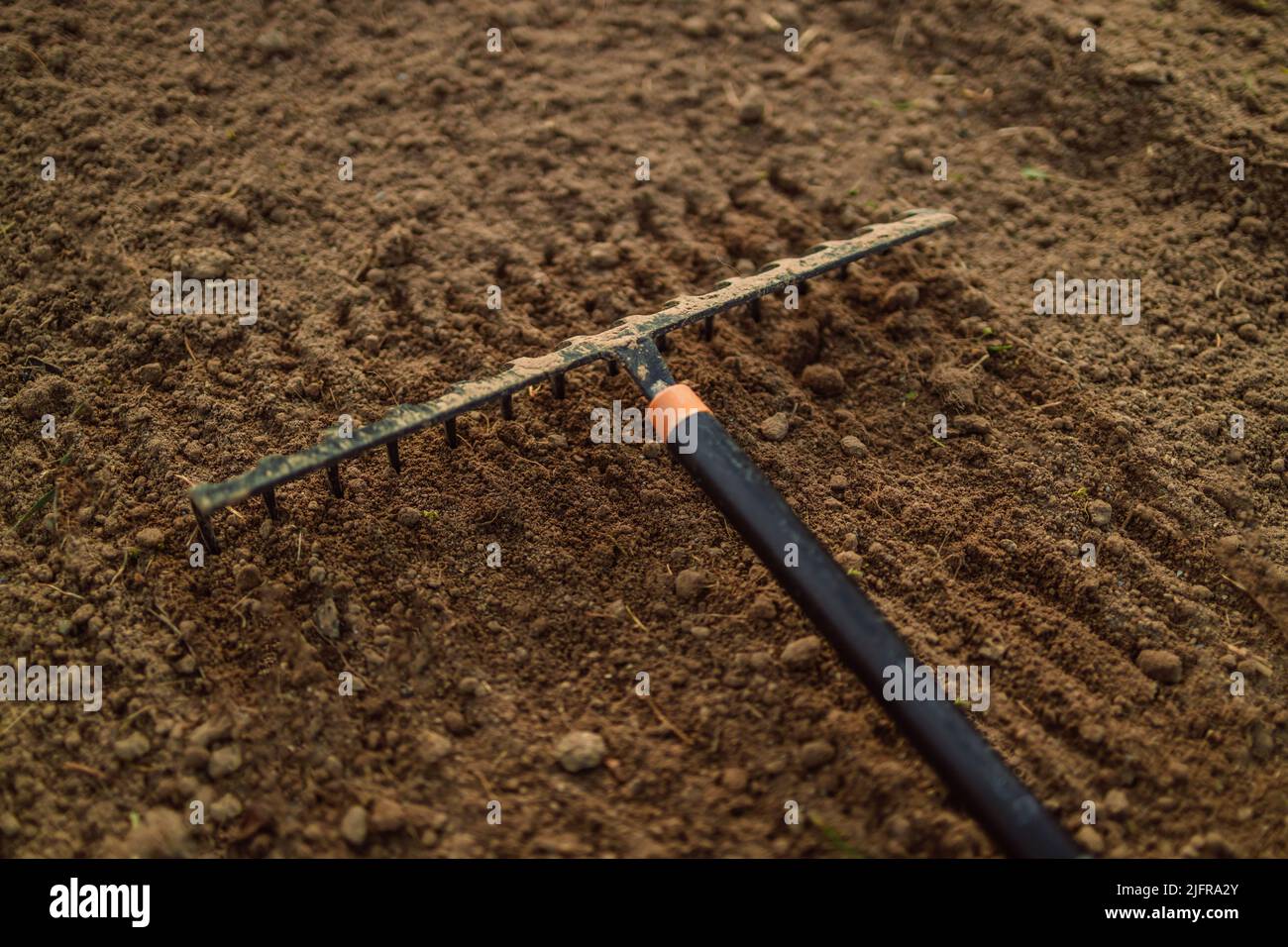 Spring cleaning. Selective focus. Yard area cleaning, cultivation of ...