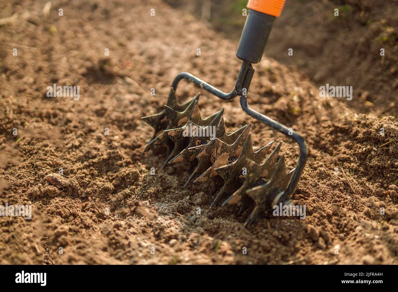 Close up of an new metal garden rake cleaning earth at spring time ...