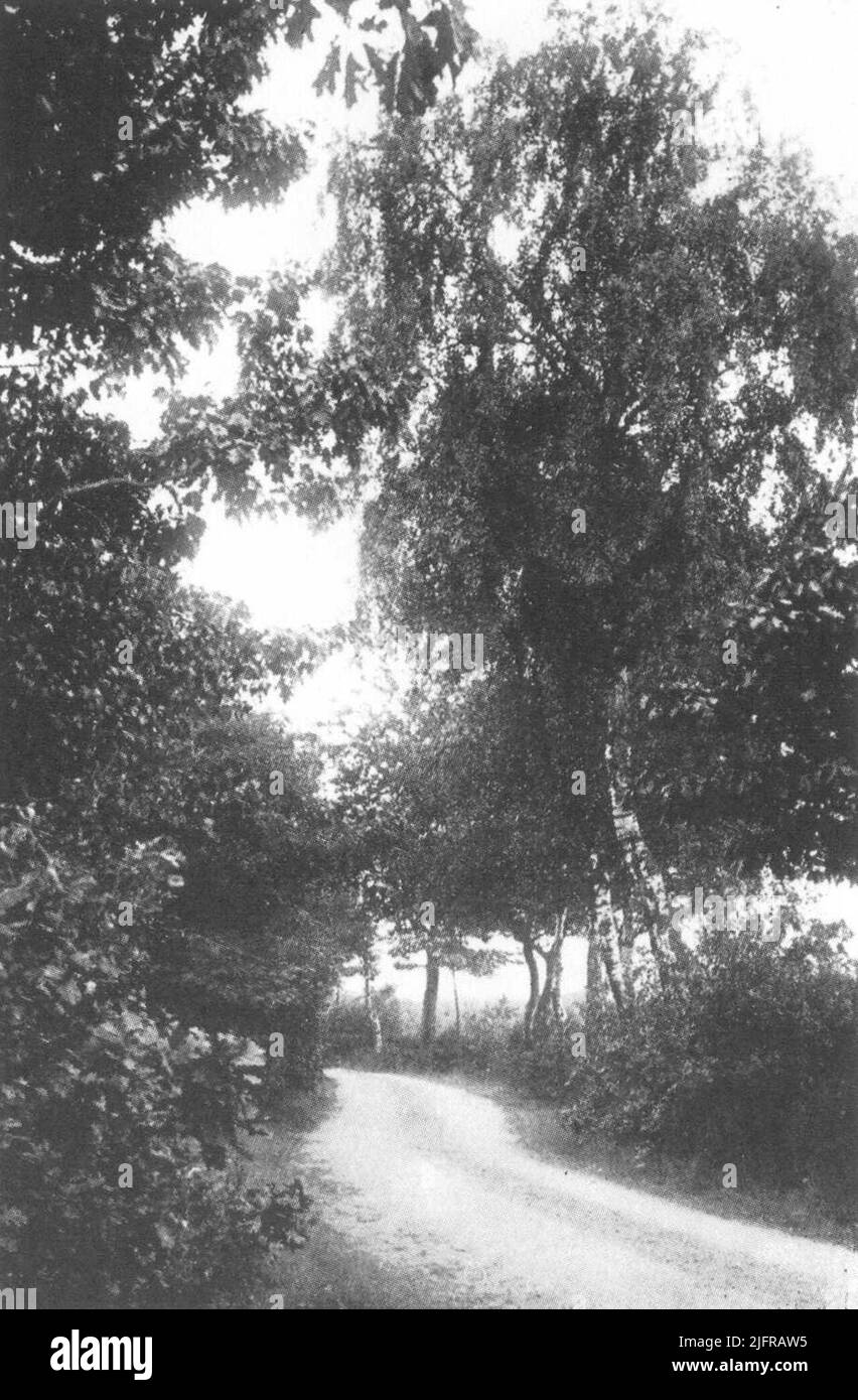 Through the forest Black and White Stock Photos & Images - Alamy