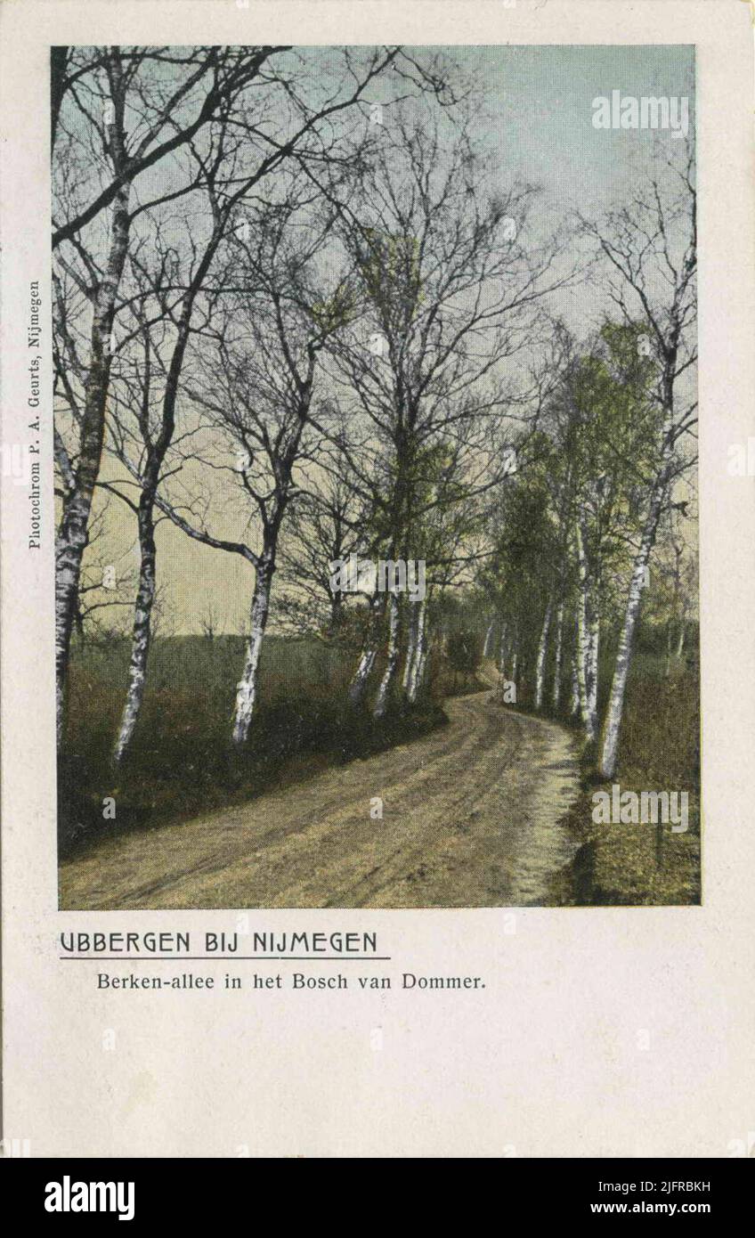 Berken hi-res stock photography and images - Alamy