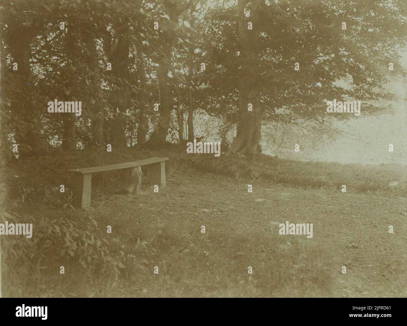 A bench at Huize Oud Heyendaal on the Heyendaal estate Stock Photo - Alamy
