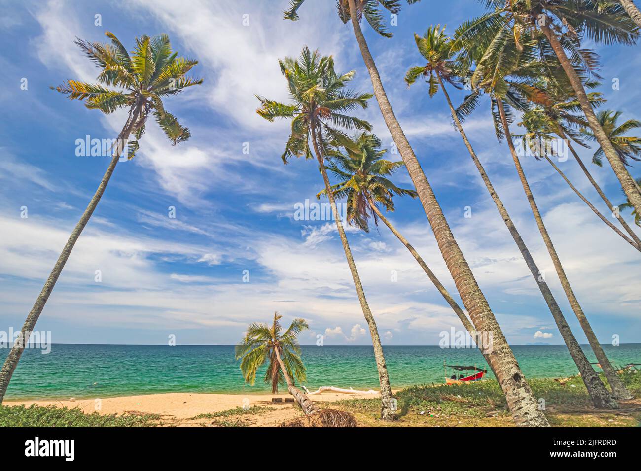Low angle view of beach with coconut trees against blue sky with thin ...