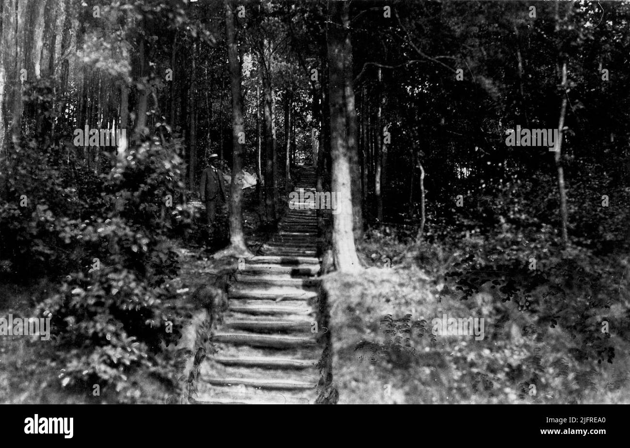 Thousand steps trail hi-res stock photography and images - Alamy