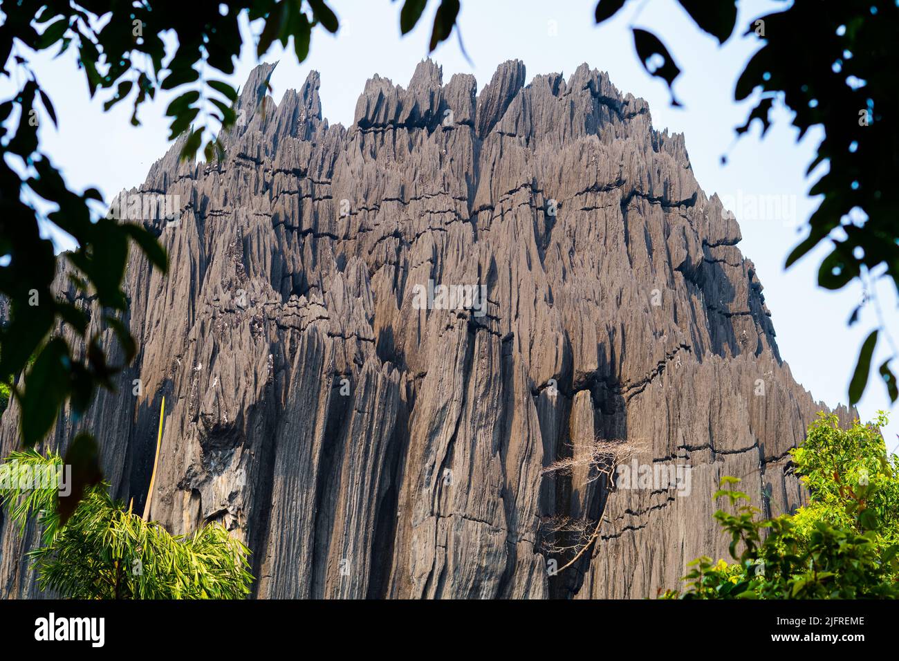 This place is discovered by Francis Hamilton while surveying this area ...