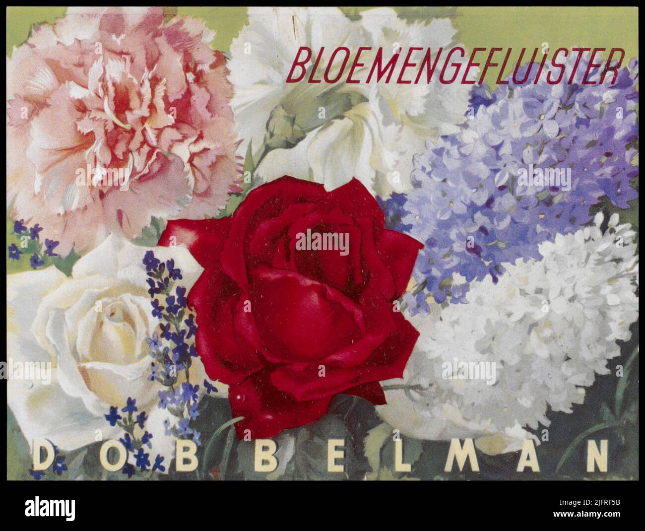 Flower arranger plant hi-res stock photography and images - Alamy