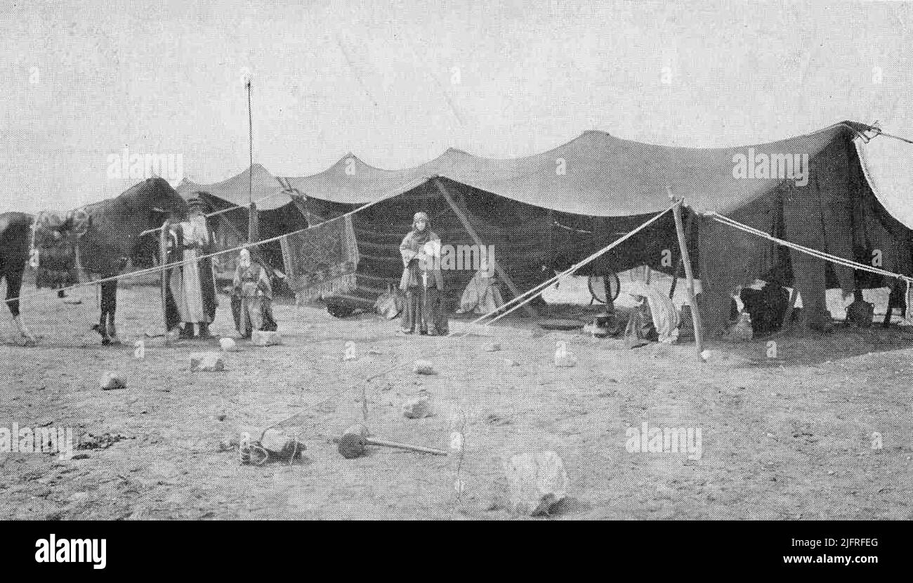 Artifact hair Black and White Stock Photos & Images - Alamy