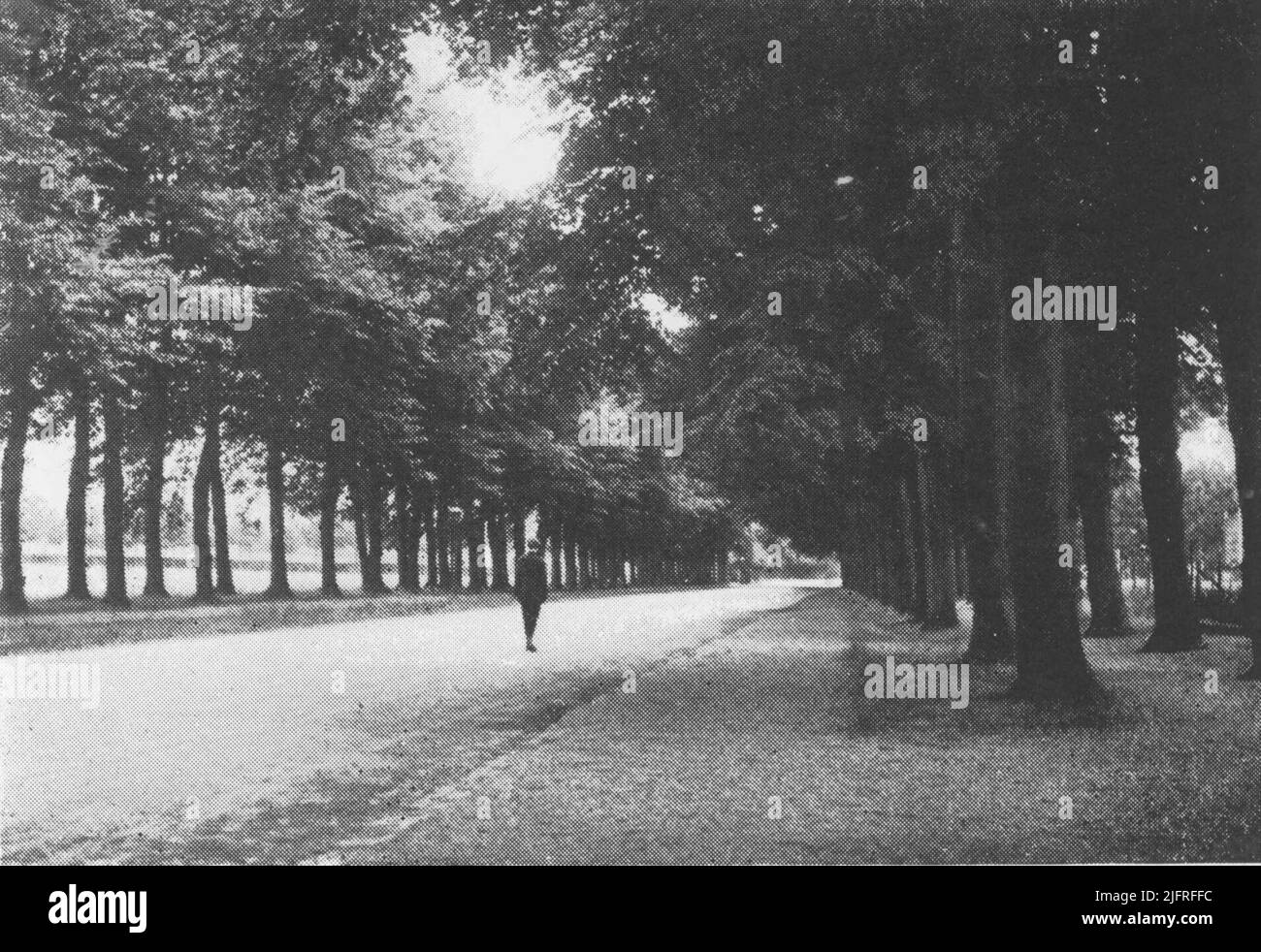 Groenewoud hi-res stock photography and images - Alamy