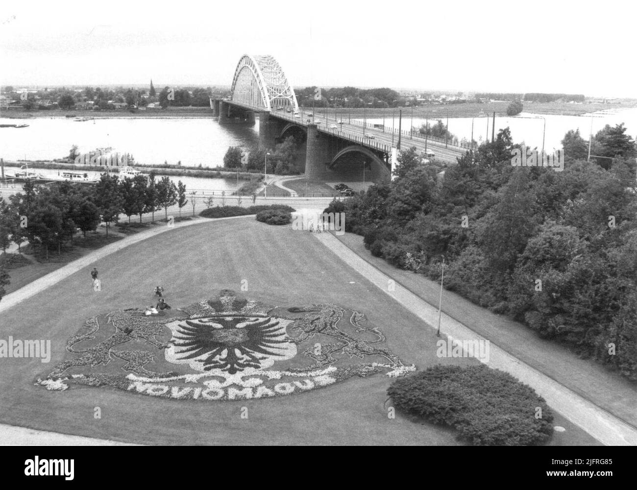 In the foreground the flower weapon Stock Photo - Alamy