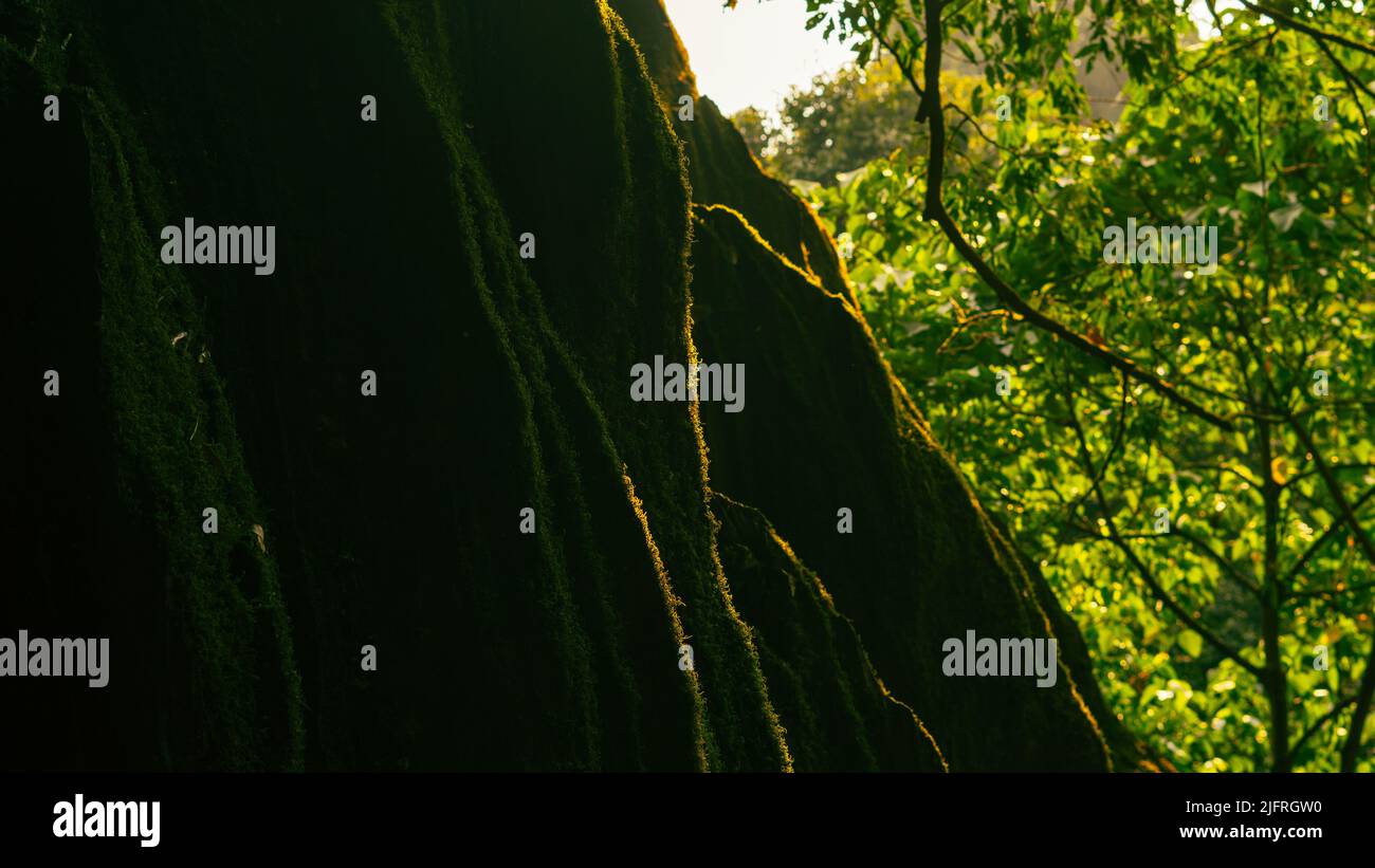 MOSS COVERED ROCKS WITH LAYERS OF BRIGHT GOLDEN LIGHT IN SUNSET Stock ...