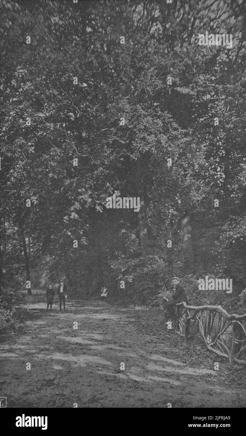 Elzen hi-res stock photography and images - Alamy