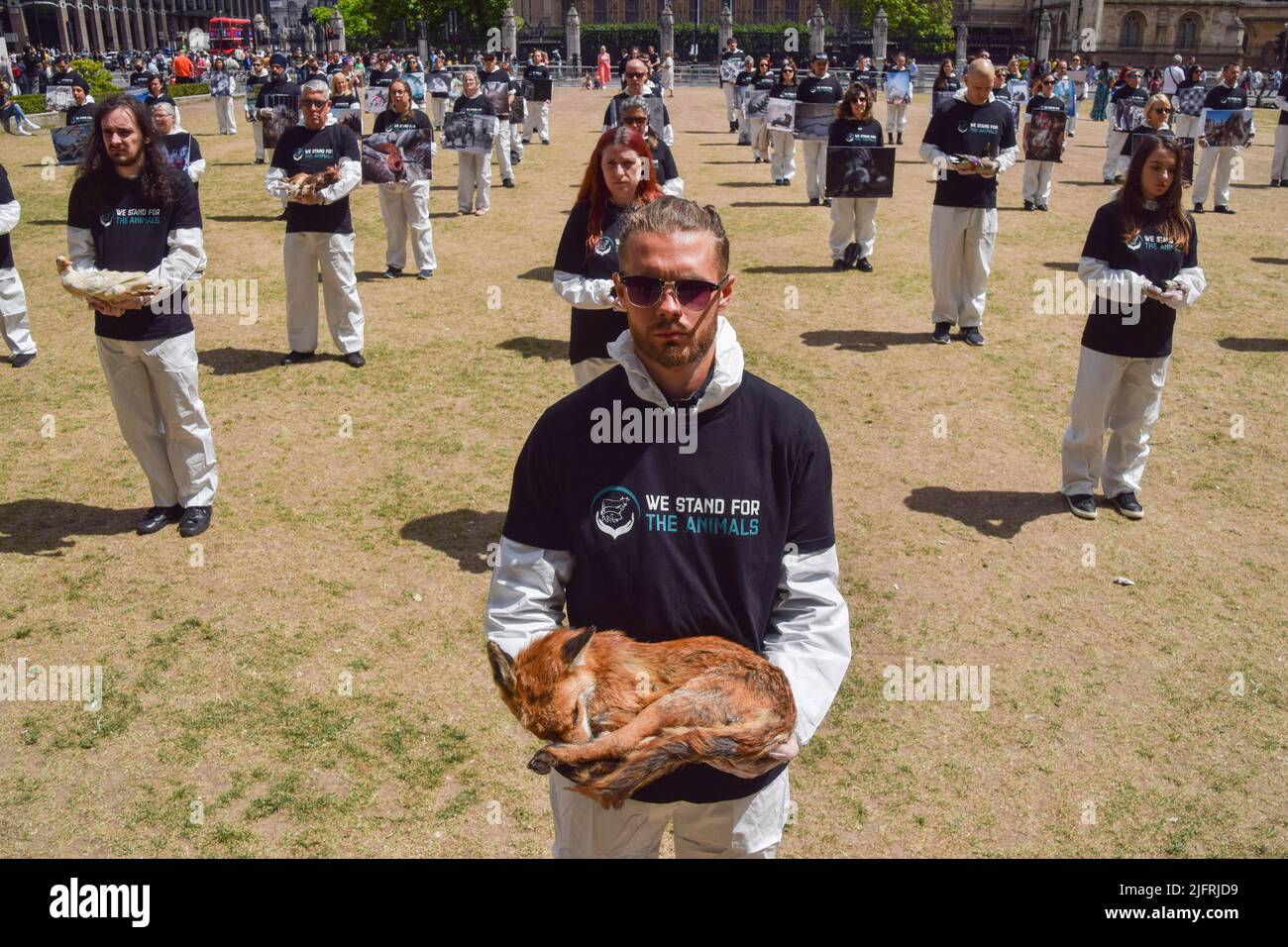 The fox who died hi-res stock photography and images - Alamy