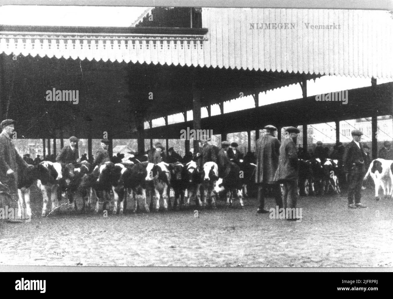 The Veemarkt behind the Veehallen Stock Photo - Alamy