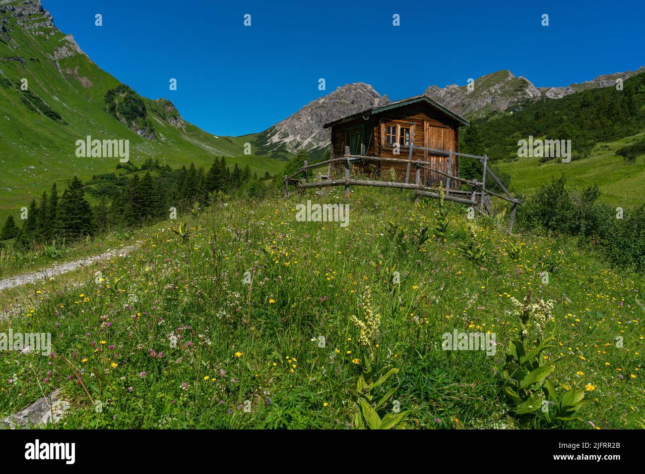 little wooden hut on alpine meadow. On a flower-strewn hill stands a ...