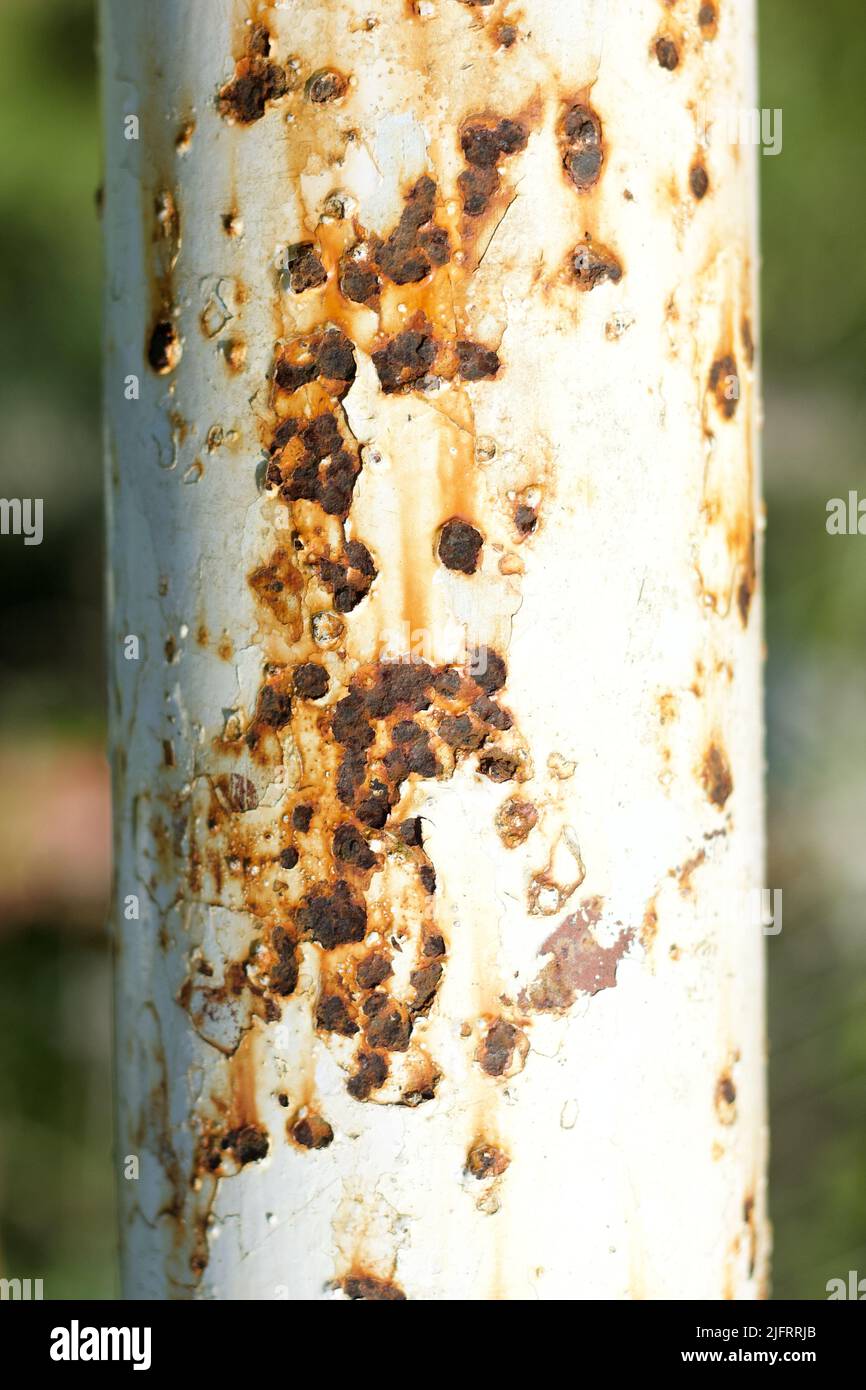 Rusty iron pipe covered with old white paint Stock Photo - Alamy