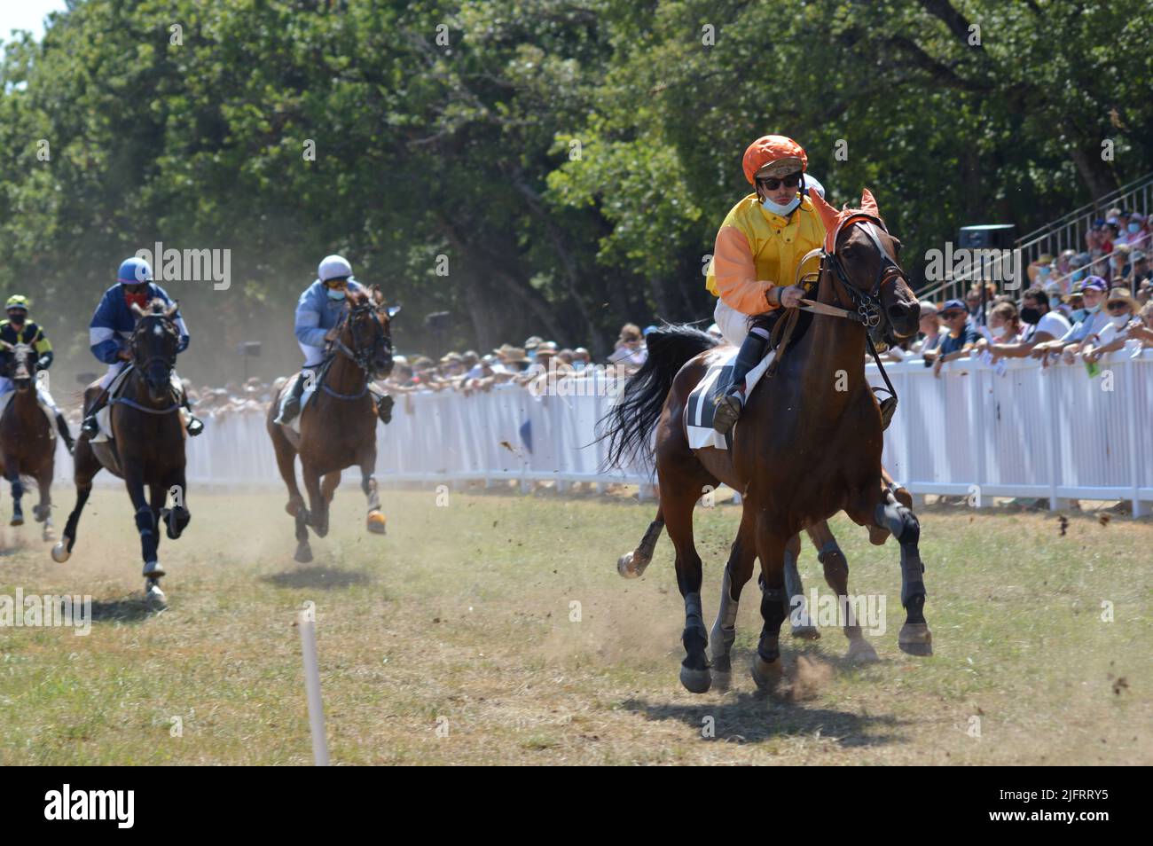 View on a Horse Racecourse Stock Photo - Alamy