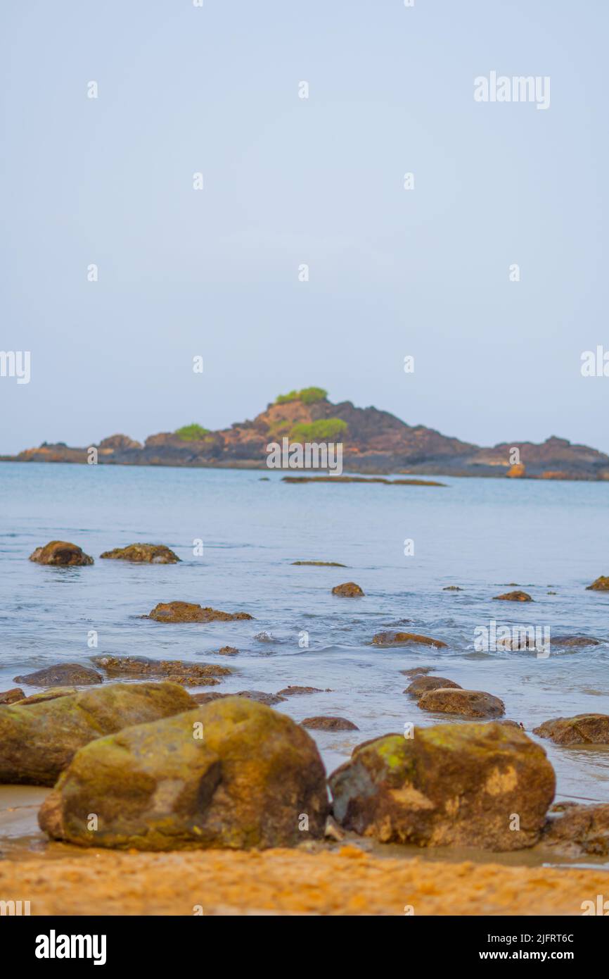Golden light on rocks. random rocks at seashore.grass on a rock ...