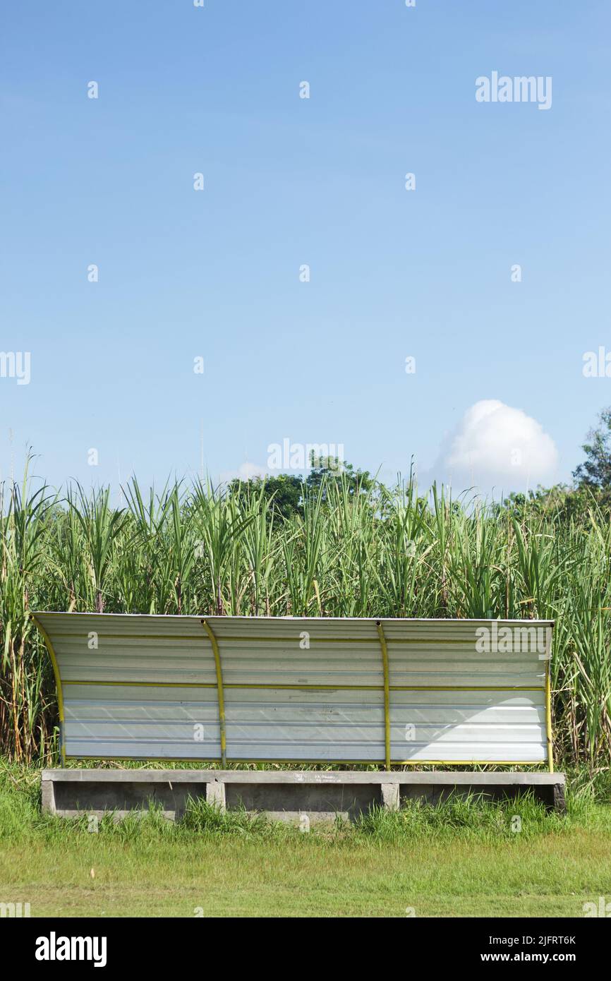 Coach and reserve benches under beautiful blue sky in the old grass ...