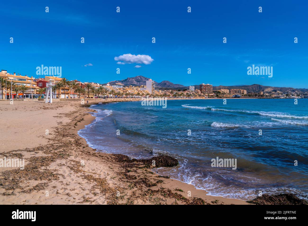 El Campello Spain beach seaweed and mountain Costa Blanca near Benidorm ...