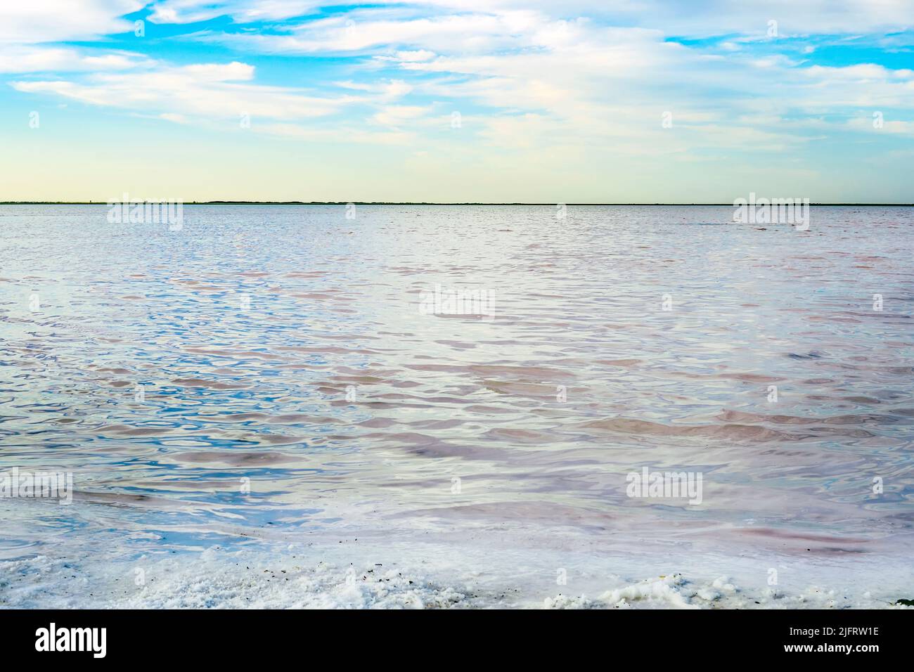 The pink lake. Pure water. Salt at the bottom Stock Photo - Alamy