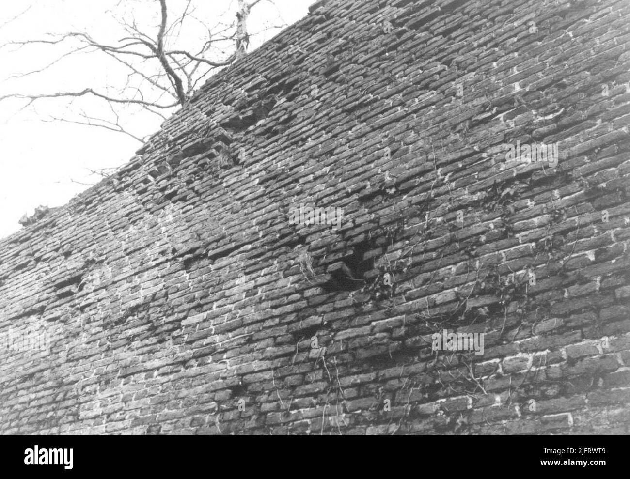 Part of the old city walls in the Kronenburgerpark between the ...