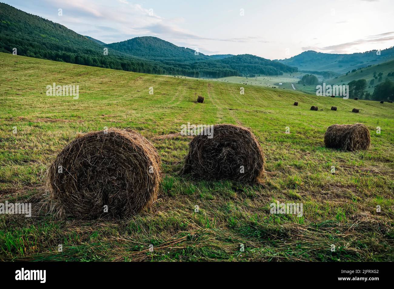 Altay mountain meadow baled grass hi-res stock photography and images ...