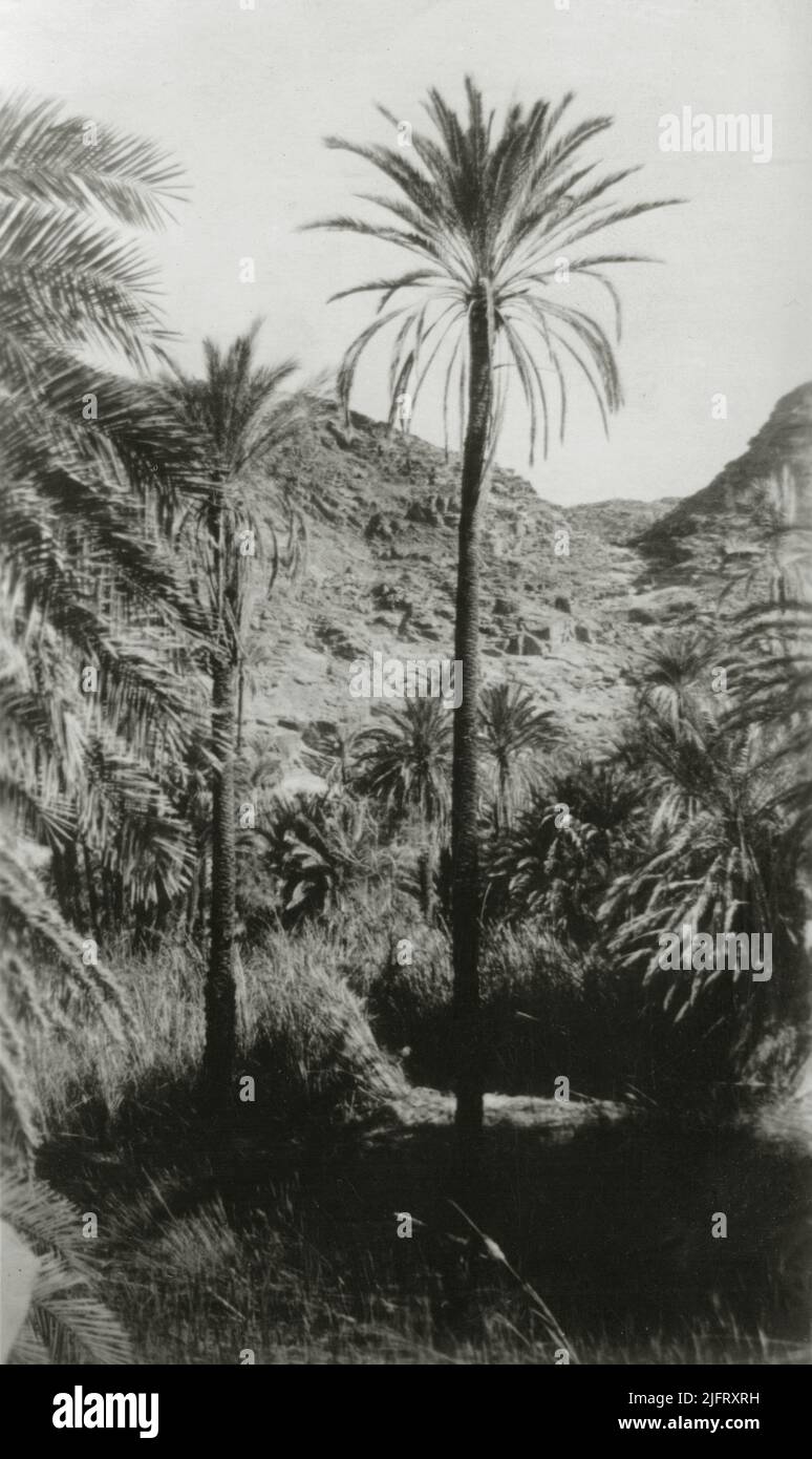 Feiran oasis hi-res stock photography and images - Alamy