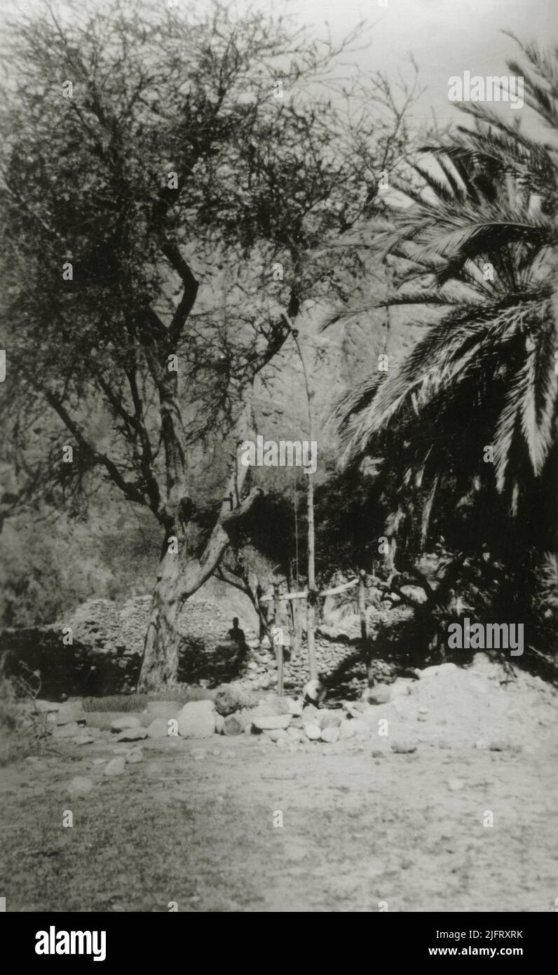 The shadoof in the oasis – "The shadoof is a water machine used by the ...