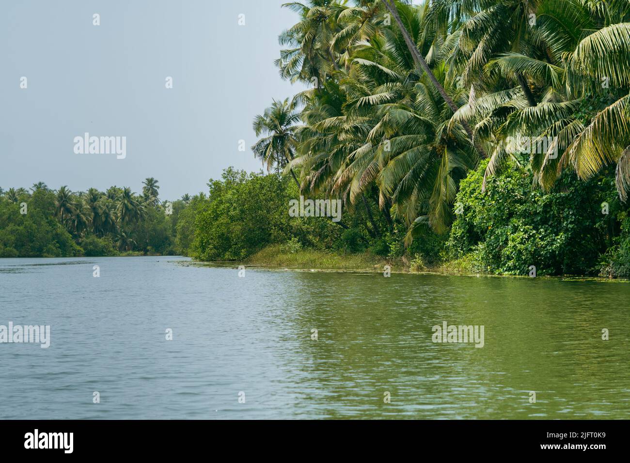 Sharavati river hi-res stock photography and images - Alamy