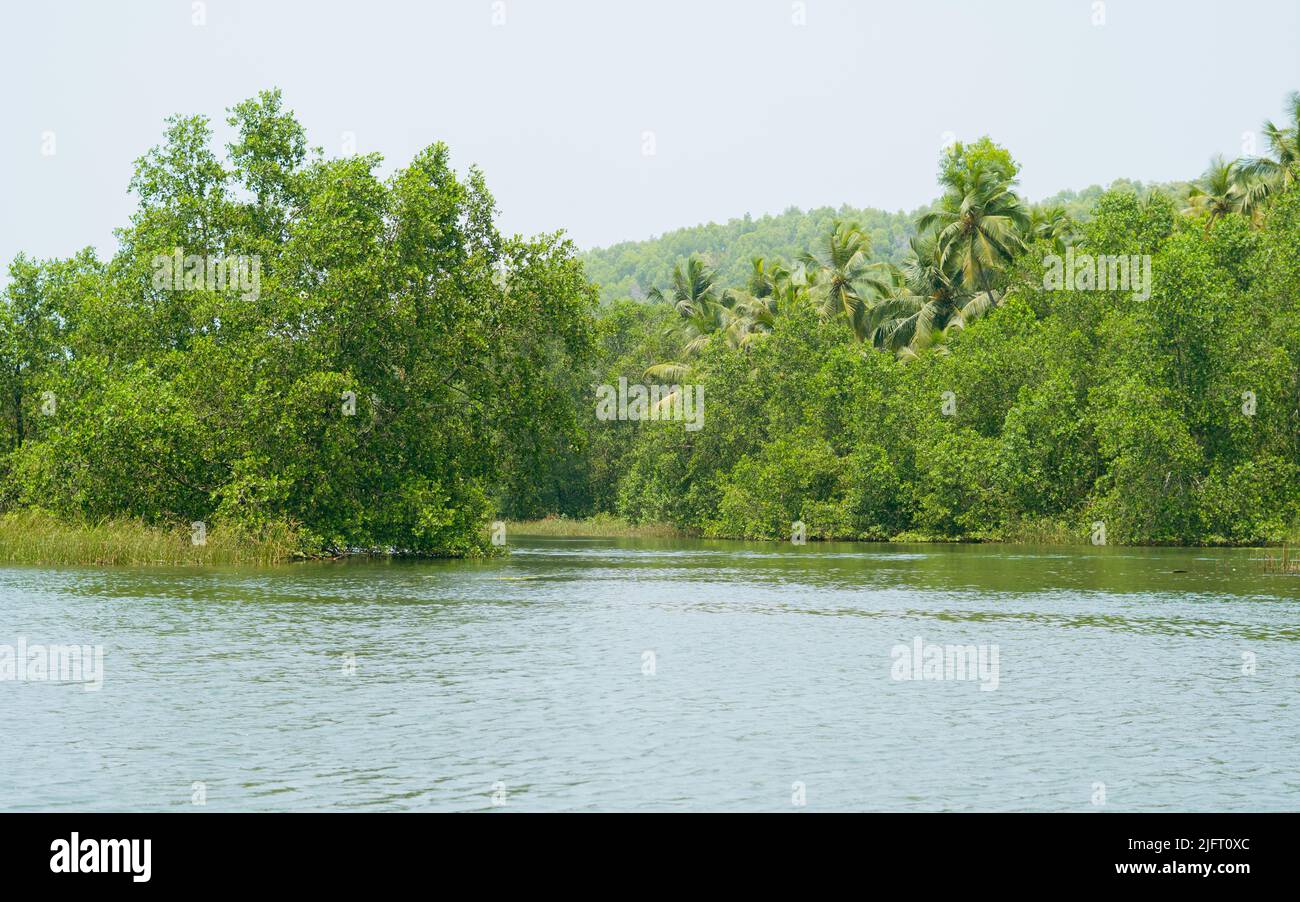 Sharavati river on a beautiful bright day with blue sky.mountains in ...