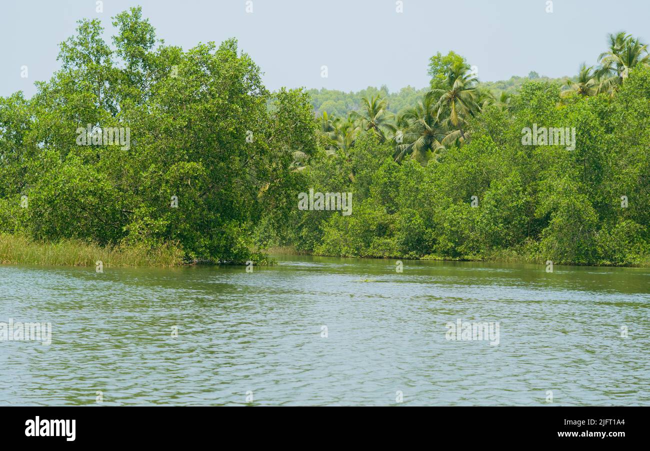 Sharavati river hi-res stock photography and images - Alamy
