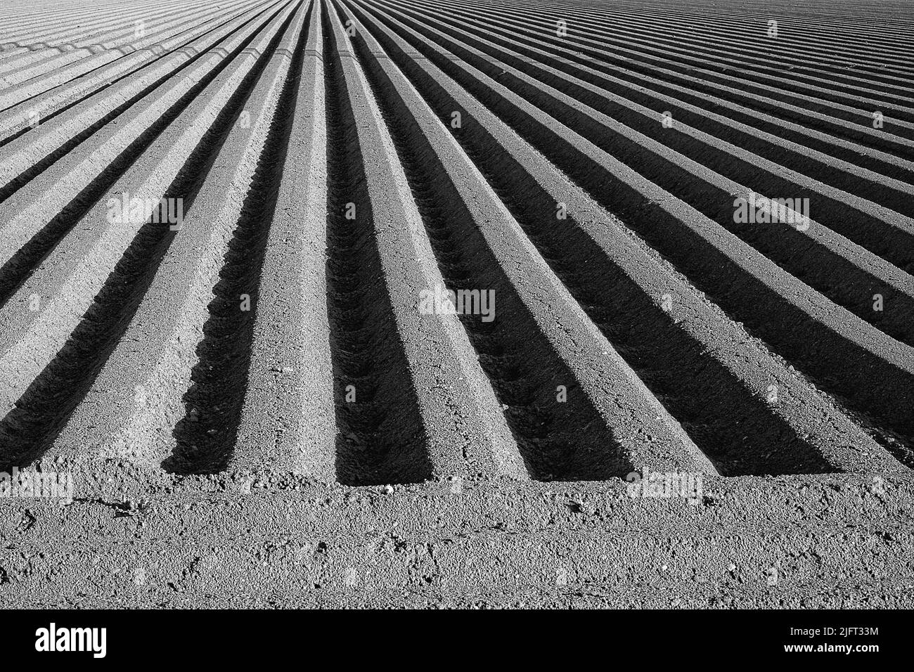 A grayscale of the soil field Stock Photo - Alamy
