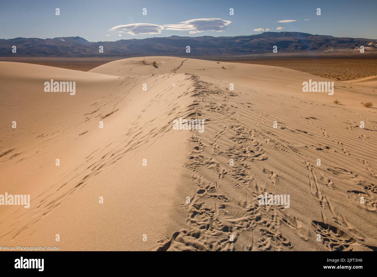 A beautiful view of Mesquite Flat Sand Dunes in California under a ...