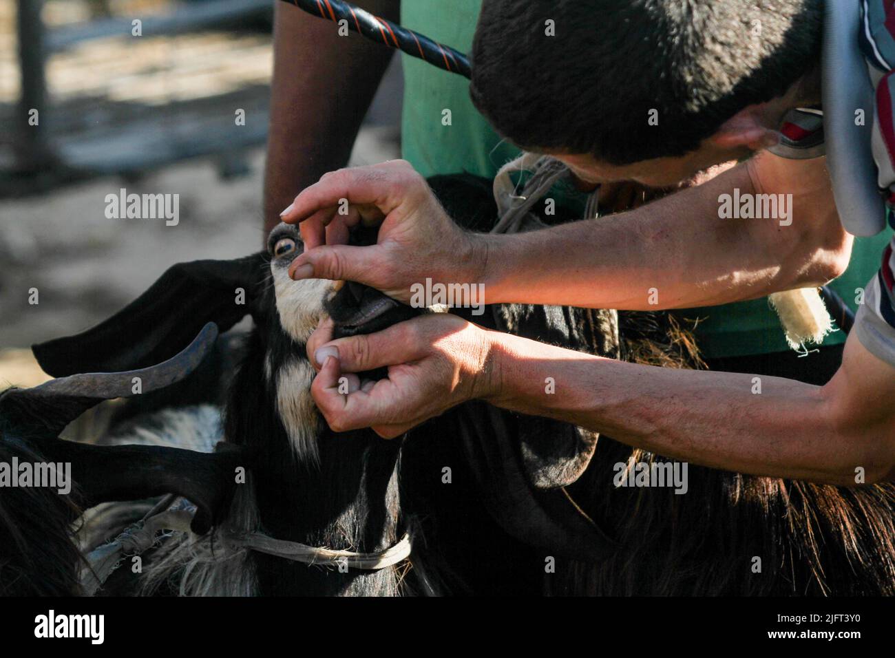 Festival of sacrifice israel hi-res stock photography and images - Alamy