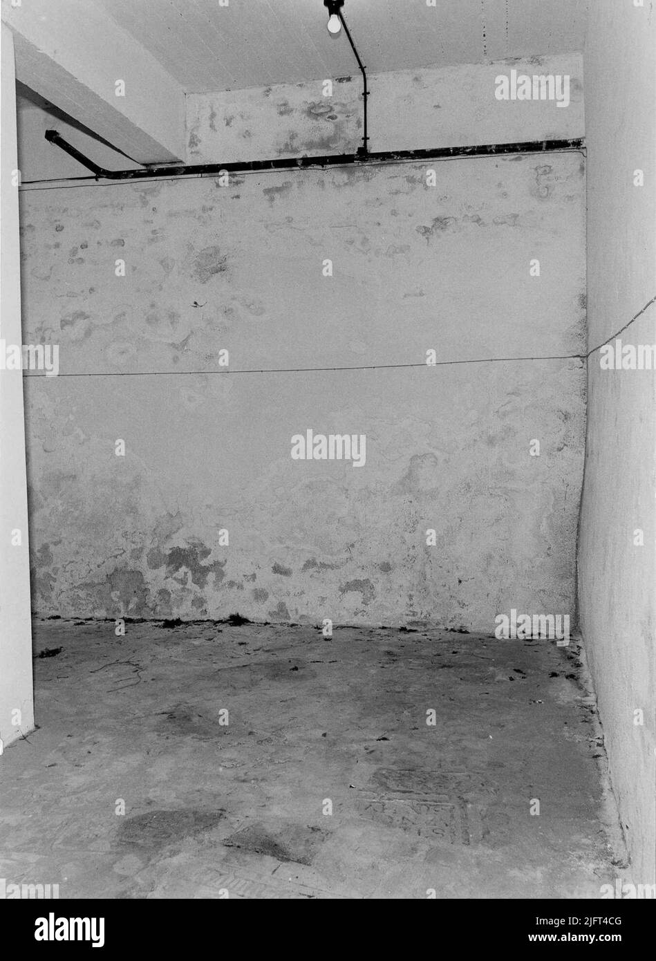 The corner of the rear basement among the golden rooms; The floor is ...