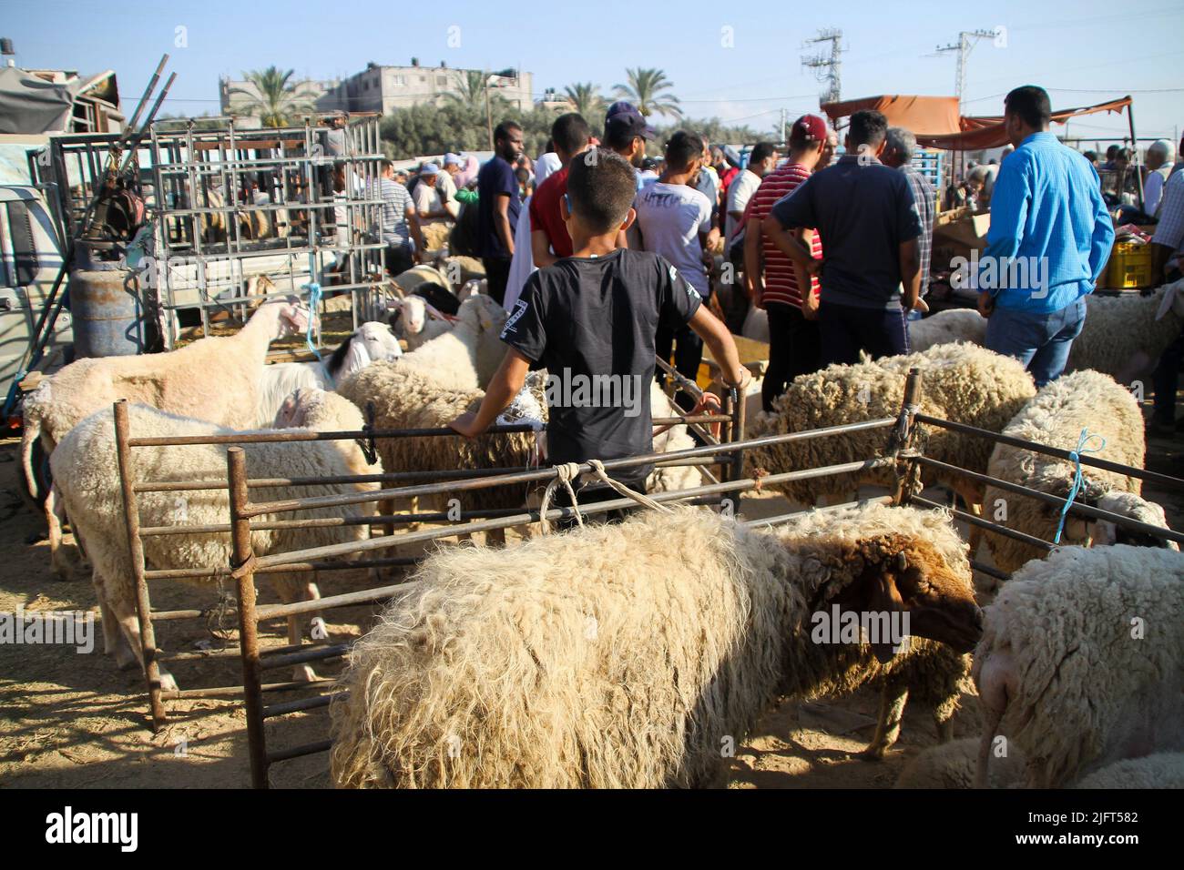Festival of sacrifice israel hi-res stock photography and images - Alamy